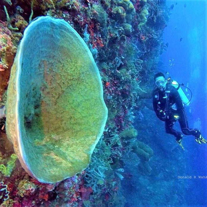 Bone Bolango, Perairan Botubarani, Photo by @clarissahkereh | Indonesia ...